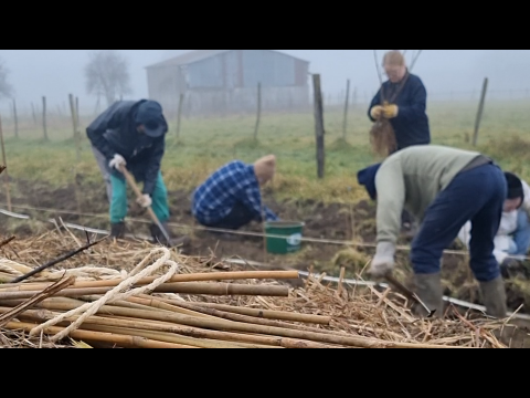 Parasportifs : les karatékas mettent le handicap au tapis à Strasbourg