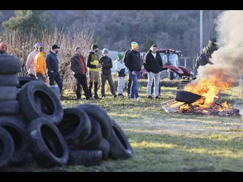 Jordan Bardella (RN) réagit à la fusillade en Australie : « Le ...