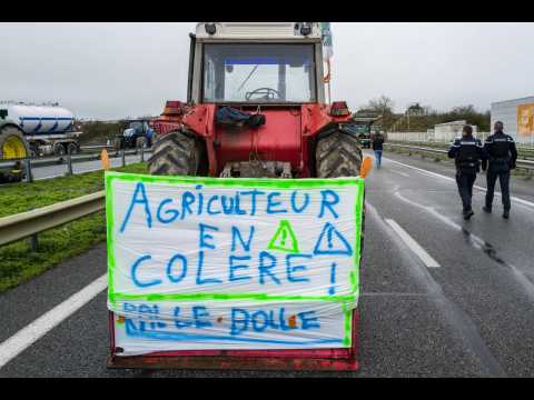 Il sculpte des oeuvres d’art en bois… à la tronçonneuse